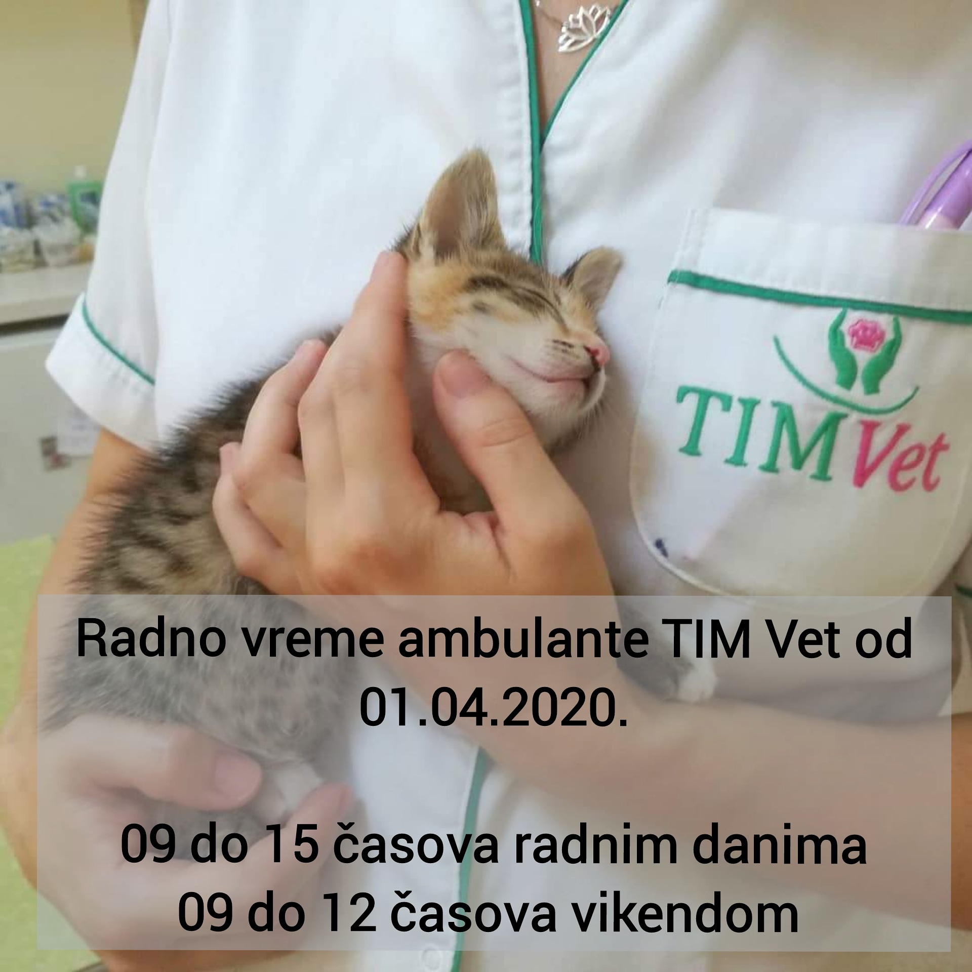 Aktuelnosti Tim Vet Novi Sad